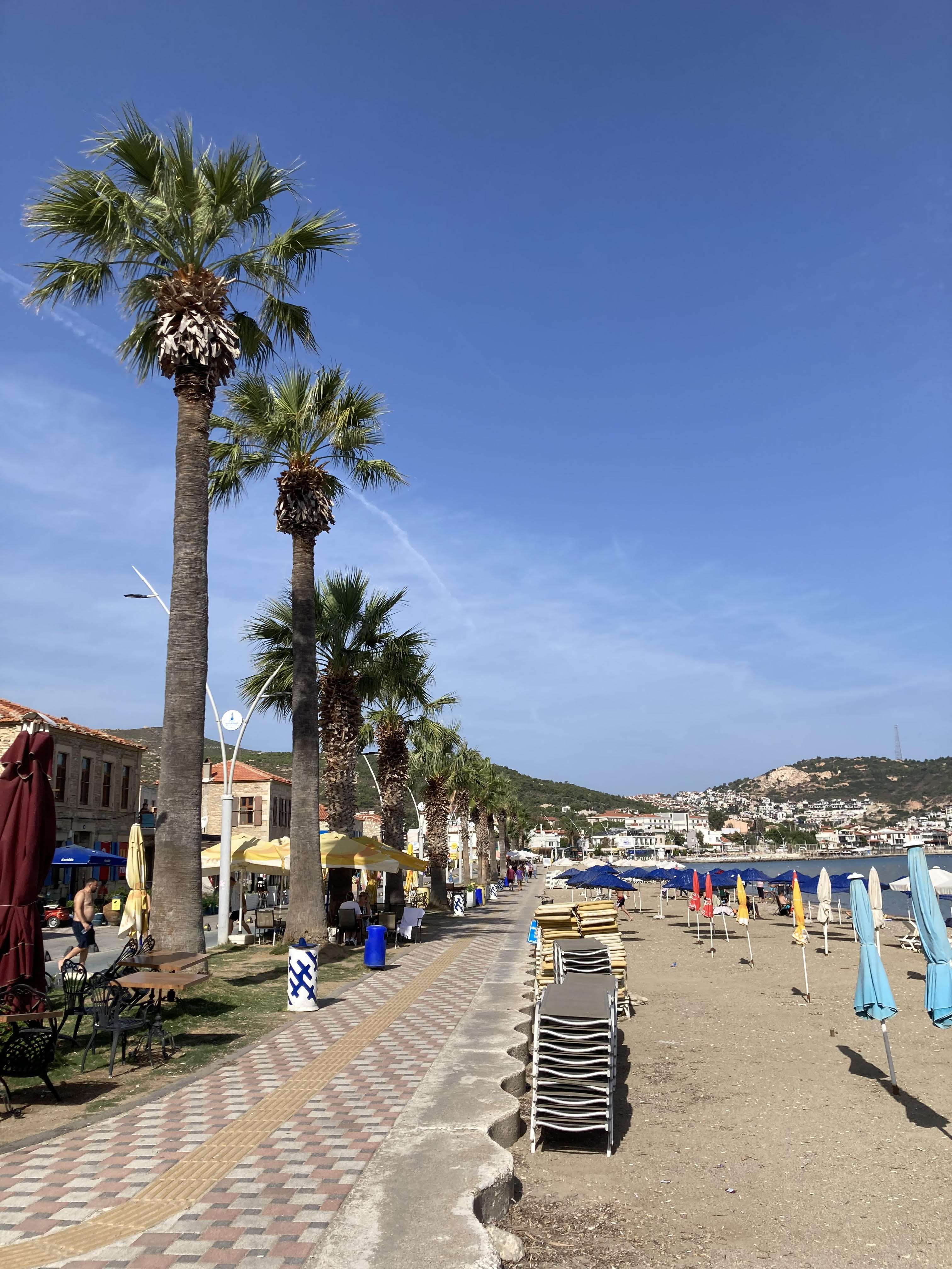 Sightseeing in Other Areas